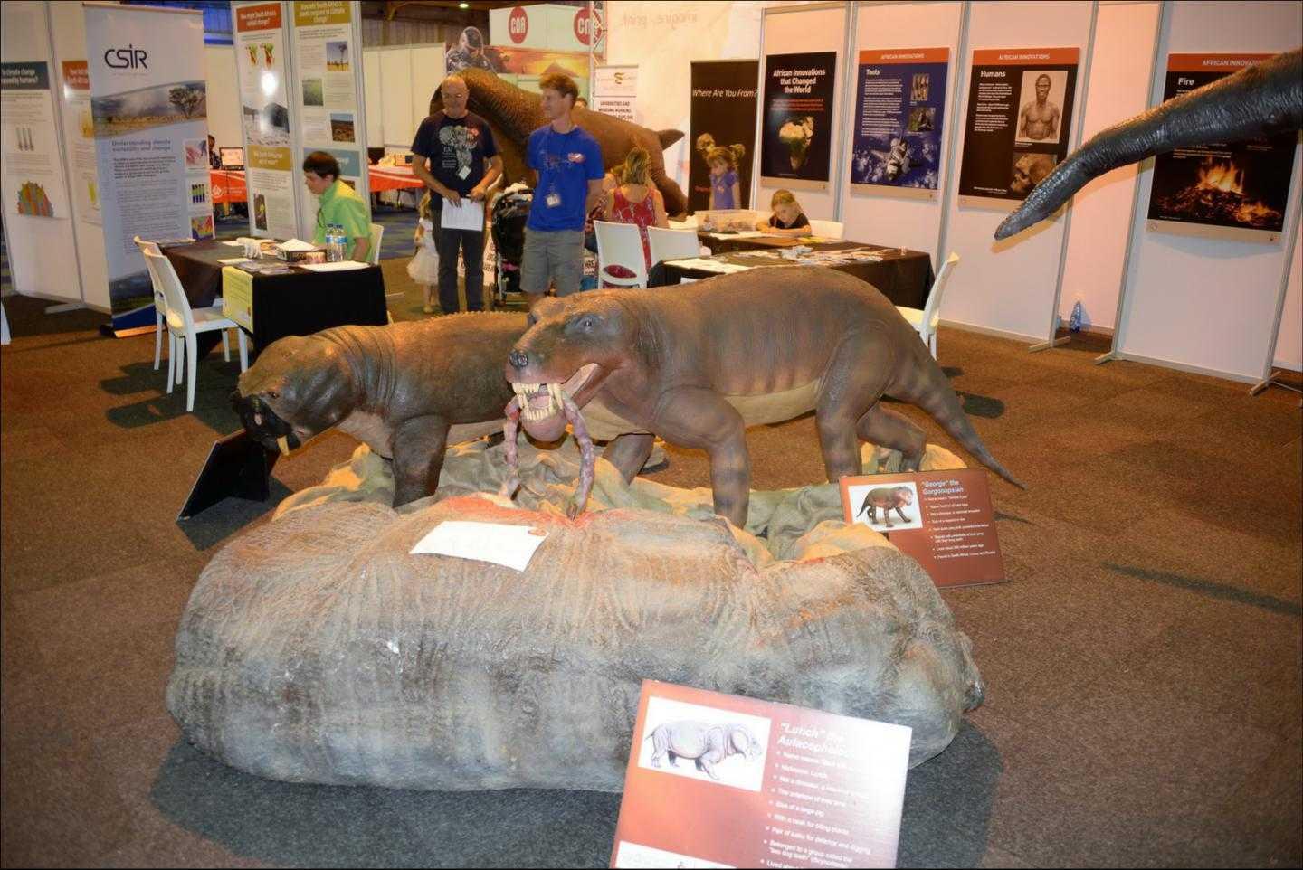 Rand Show (Apr 2026), Johannesburg South Africa - Trade Show