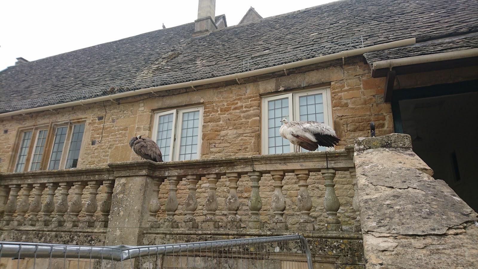 Cornbury Park Estate Office, Charlbury, UK | 10times Venues