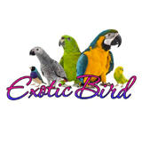 Southeast Exotic Bird Show (Aug 2022), Southeast Exotic Bird Fair ...