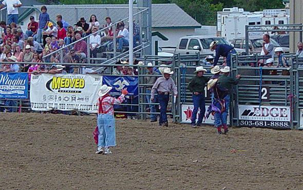 Douglas County Fair, Castle Rock, USA | 10times Venues