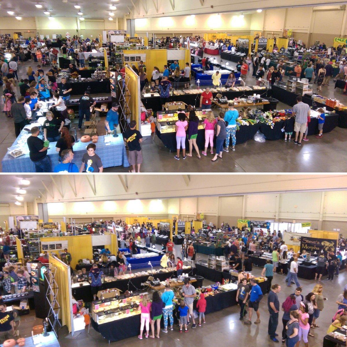 Repticon Tampa (Jun 2026), Tampa USA - Workshop