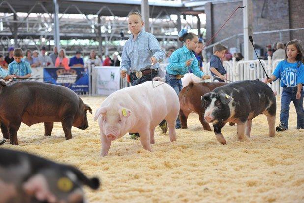 World Pork Expo (Jun 2026), Des Moines USA - Trade Show