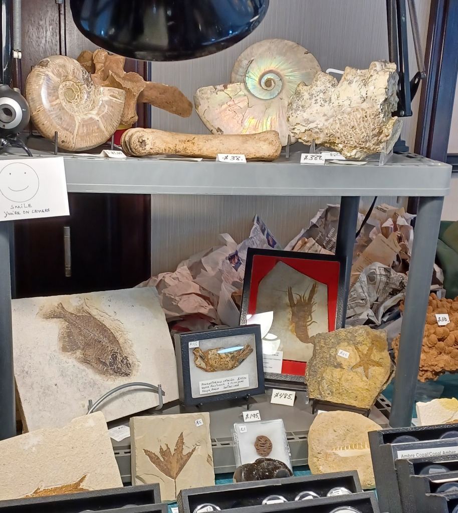 TGE (Jul 2026), The Gem Expo, Toronto Canada - Workshop