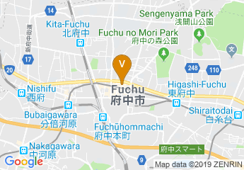 GEOMATE International Conference (Nov 2019), Fuchu Japan - Conference