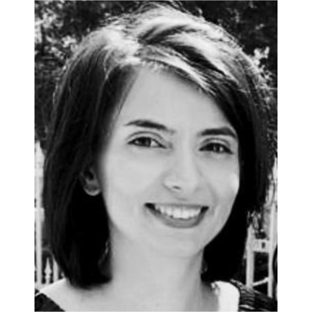 Speakers, List of Speakers Speaking at Conference on Advancements of ...