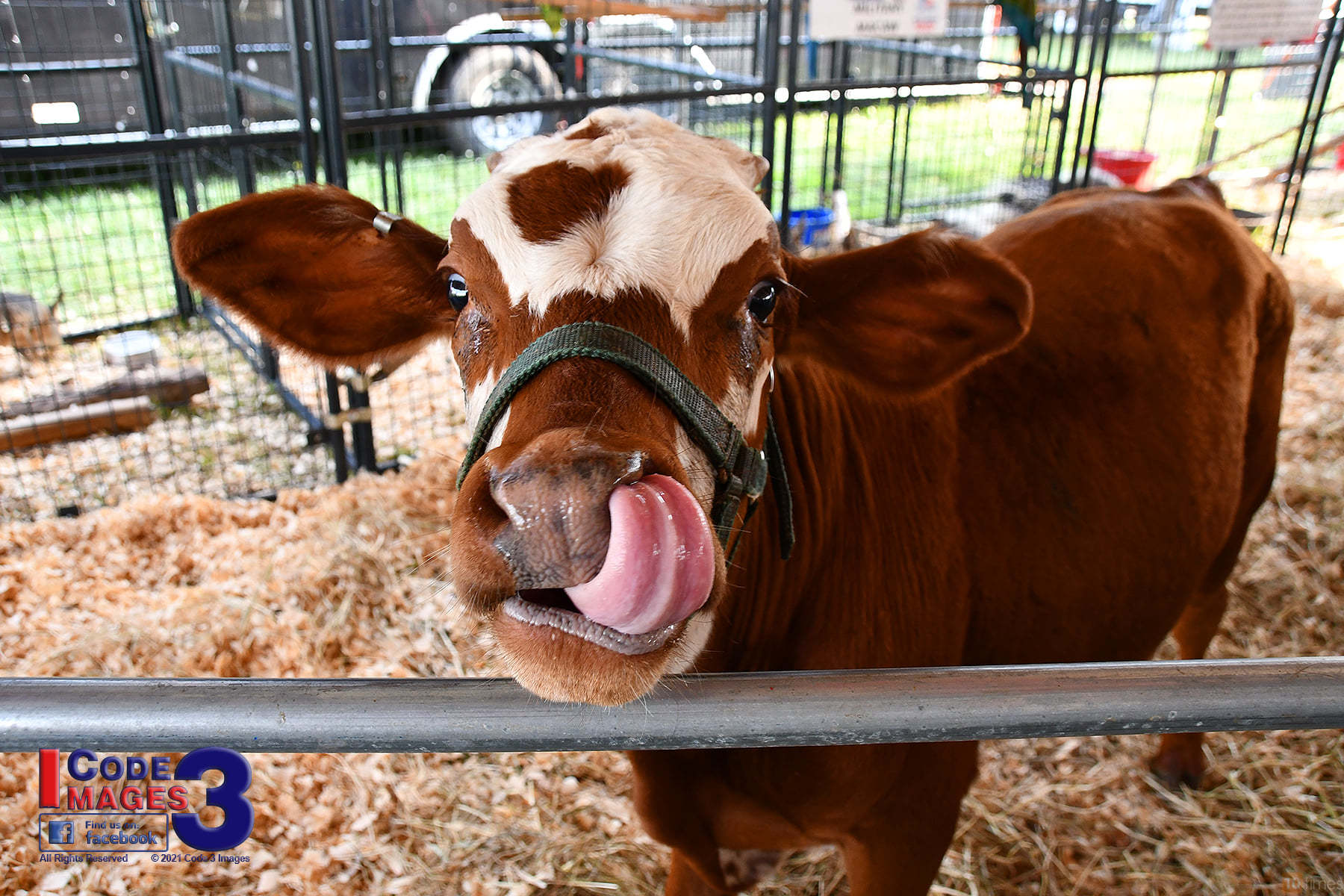 Hamilton County Fair (Jun 2025), Cincinnati USA - Trade Show
