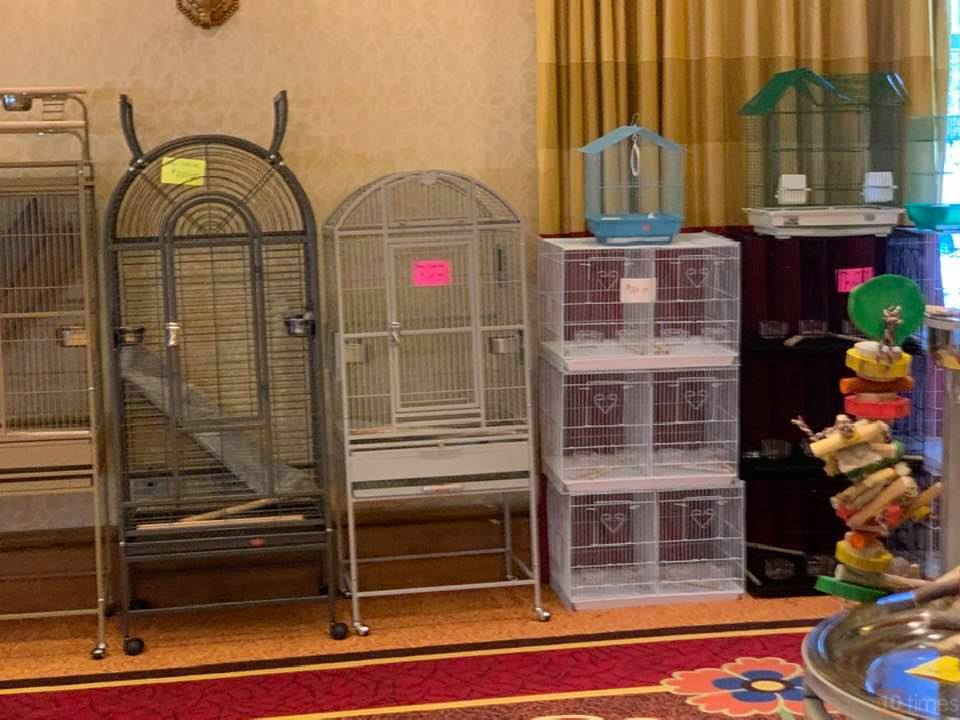 Bird Fair (Apr 2026), St Augustine Exotic Bird Expo, St. Augustine USA ...