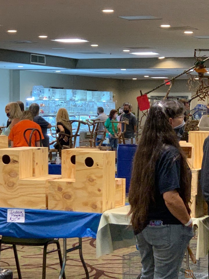 Bird Fair (Dec 2025), St Augustine Exotic Bird Expo, St. Augustine USA ...