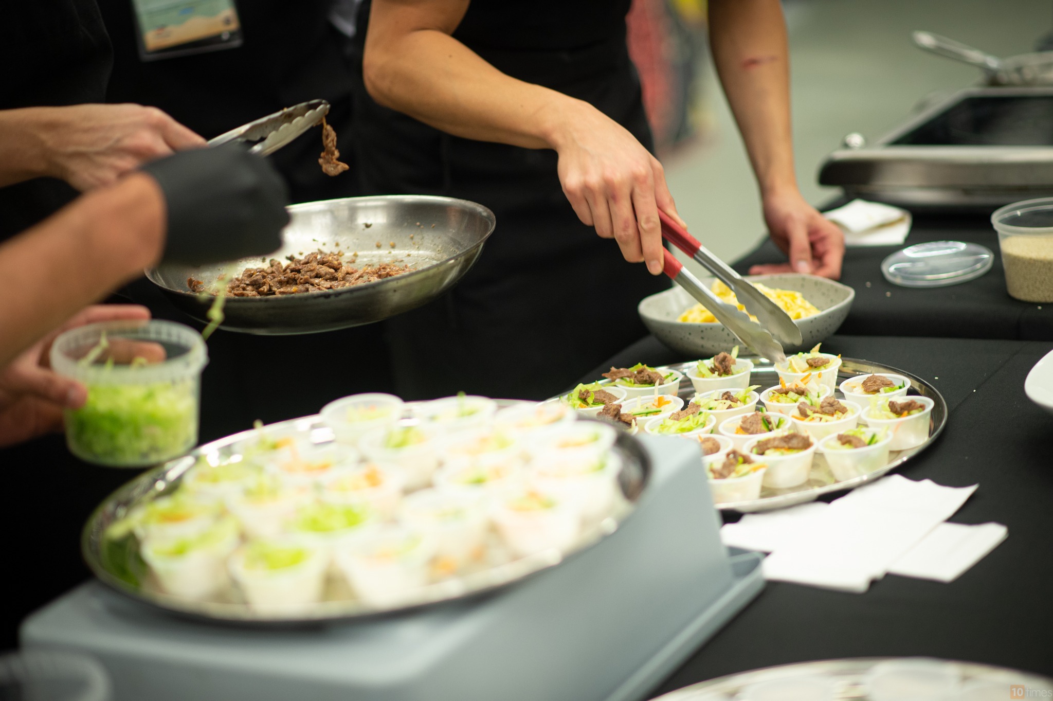 ITTS (Nov 2024), International Tourism & Travel Show, Montreal Canada - Trade Show