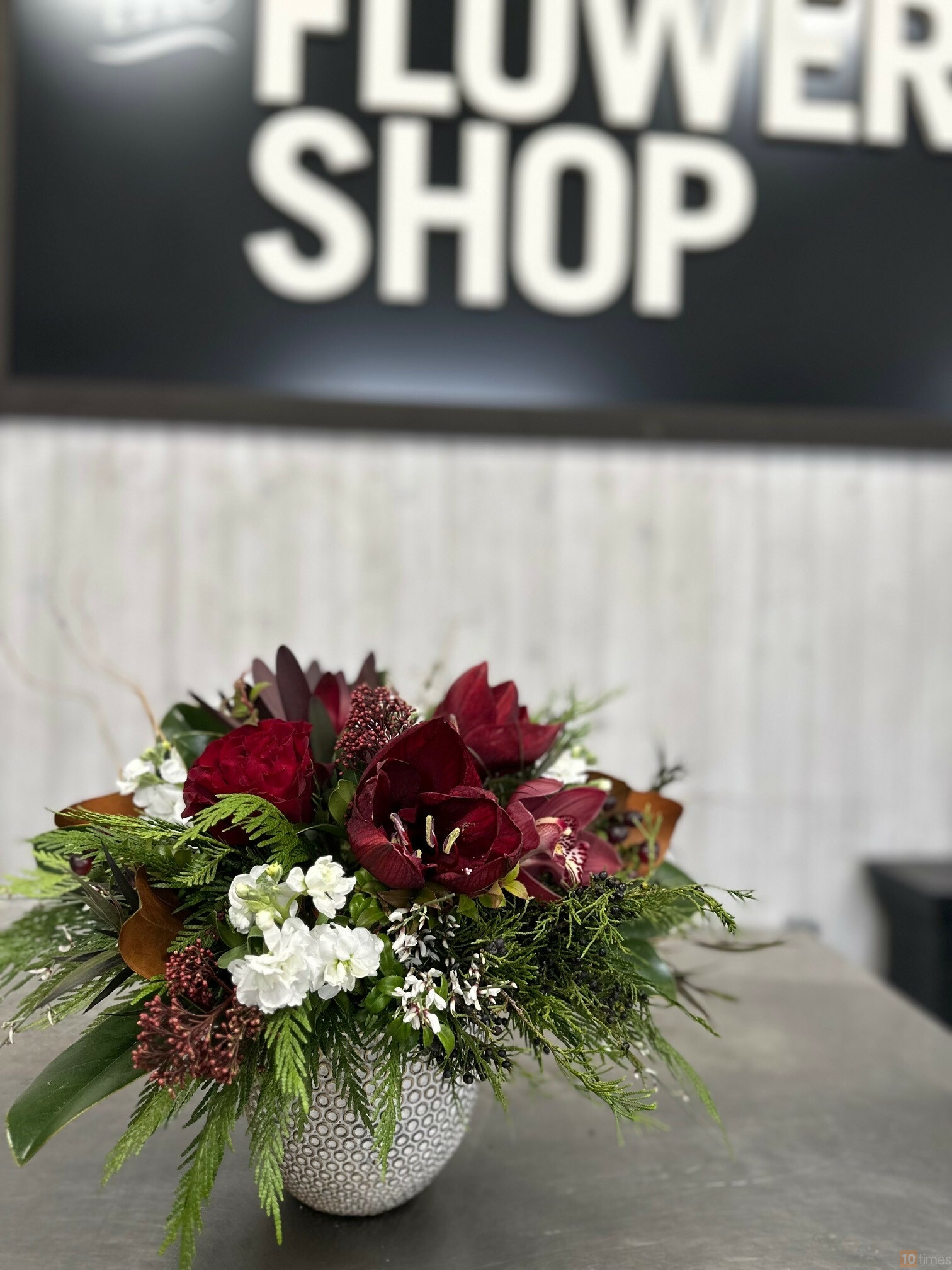 Barrie Women's Show (Jan 2026), Springwater Canada - Trade Show