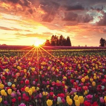 Visitors, People Attending Bahrain International Airshow, Bahrain, Bahrain